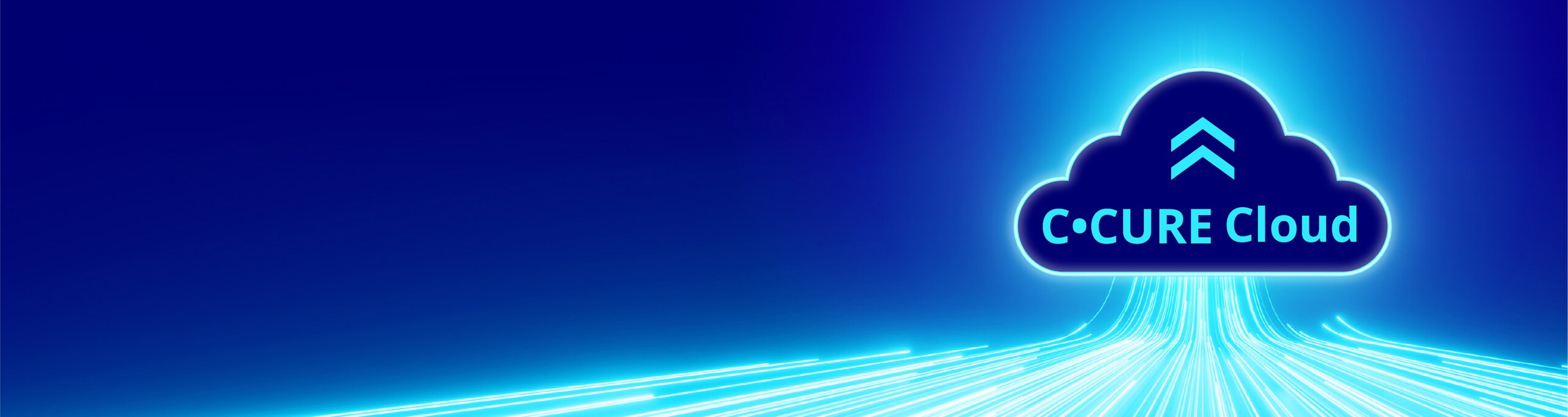 C CURE Cloud LinkedIn Paid